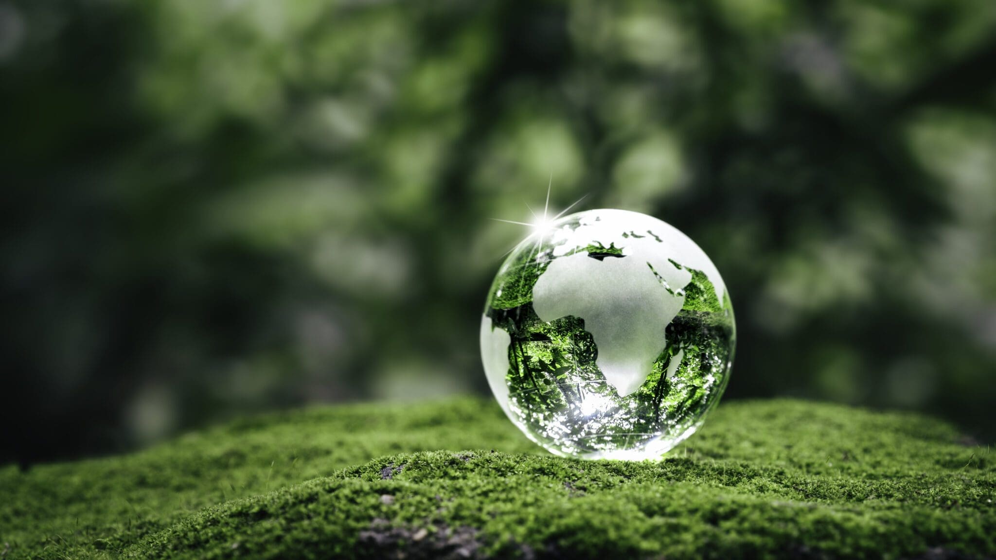 Sustainability Through a Patent Lens | LexisNexis Intellectual Property ...